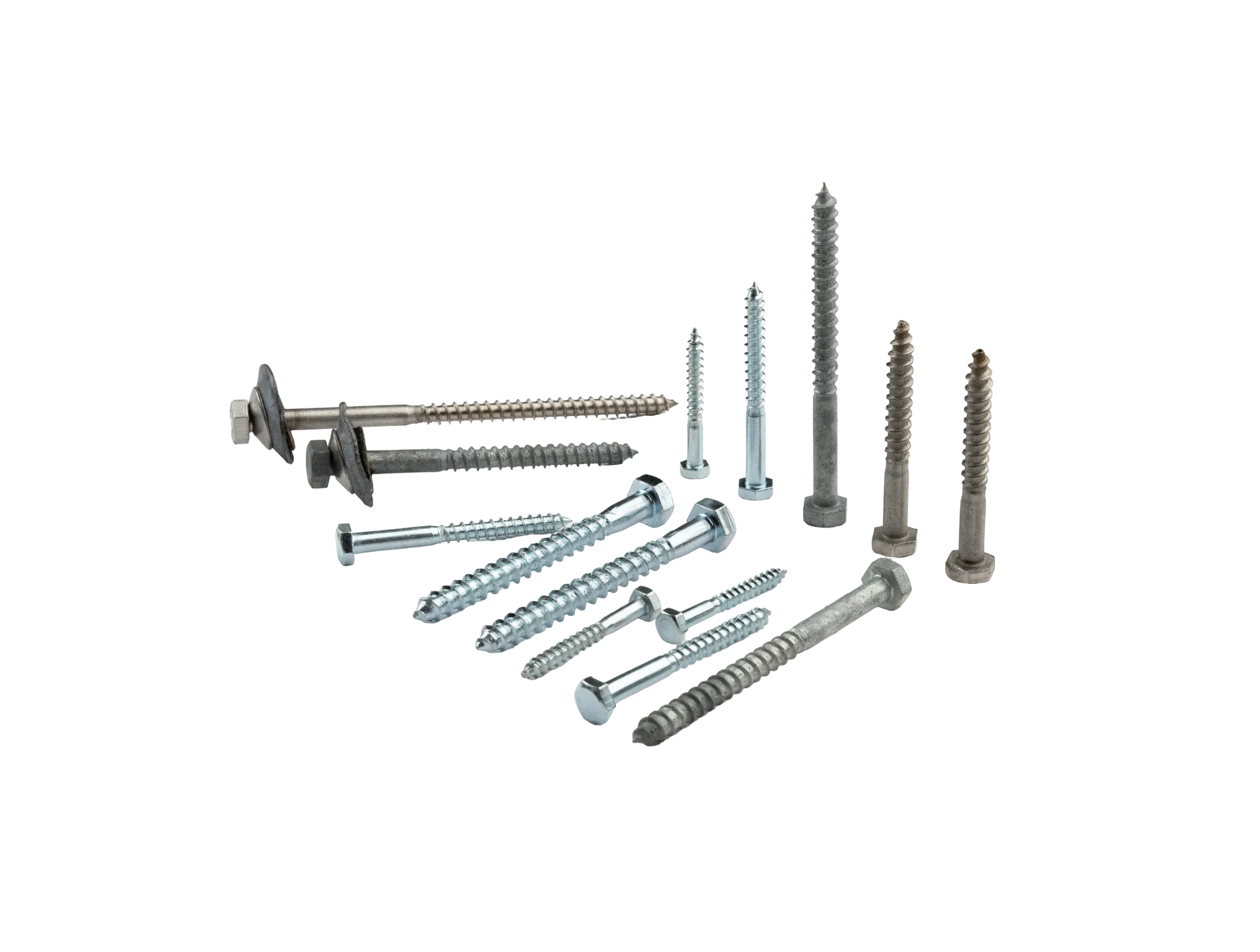 Houtdraadbouten - Archey